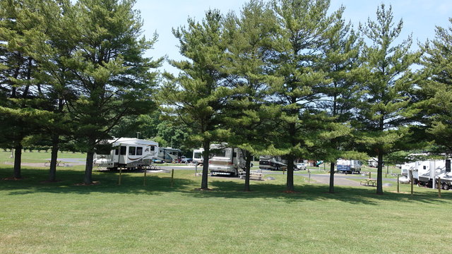 Shamrock Park Reviews updated 2025