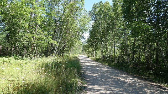 Shelldrake Dam Reviews updated 2025