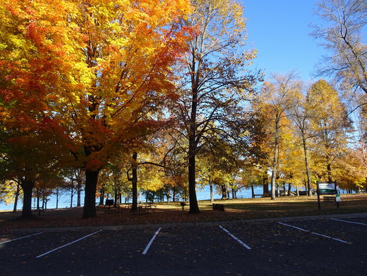 Baker Park Reserve Reviews