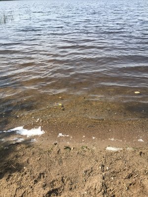 Hay Lake Campground Reviews updated 2020