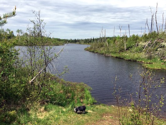 Iron Lake Campground Reviews updated 2025