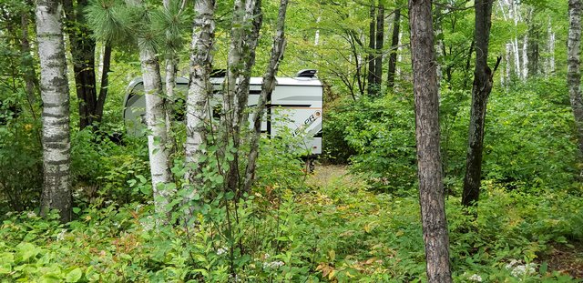 Pfeiffer Lake Campground Reviews updated 2022