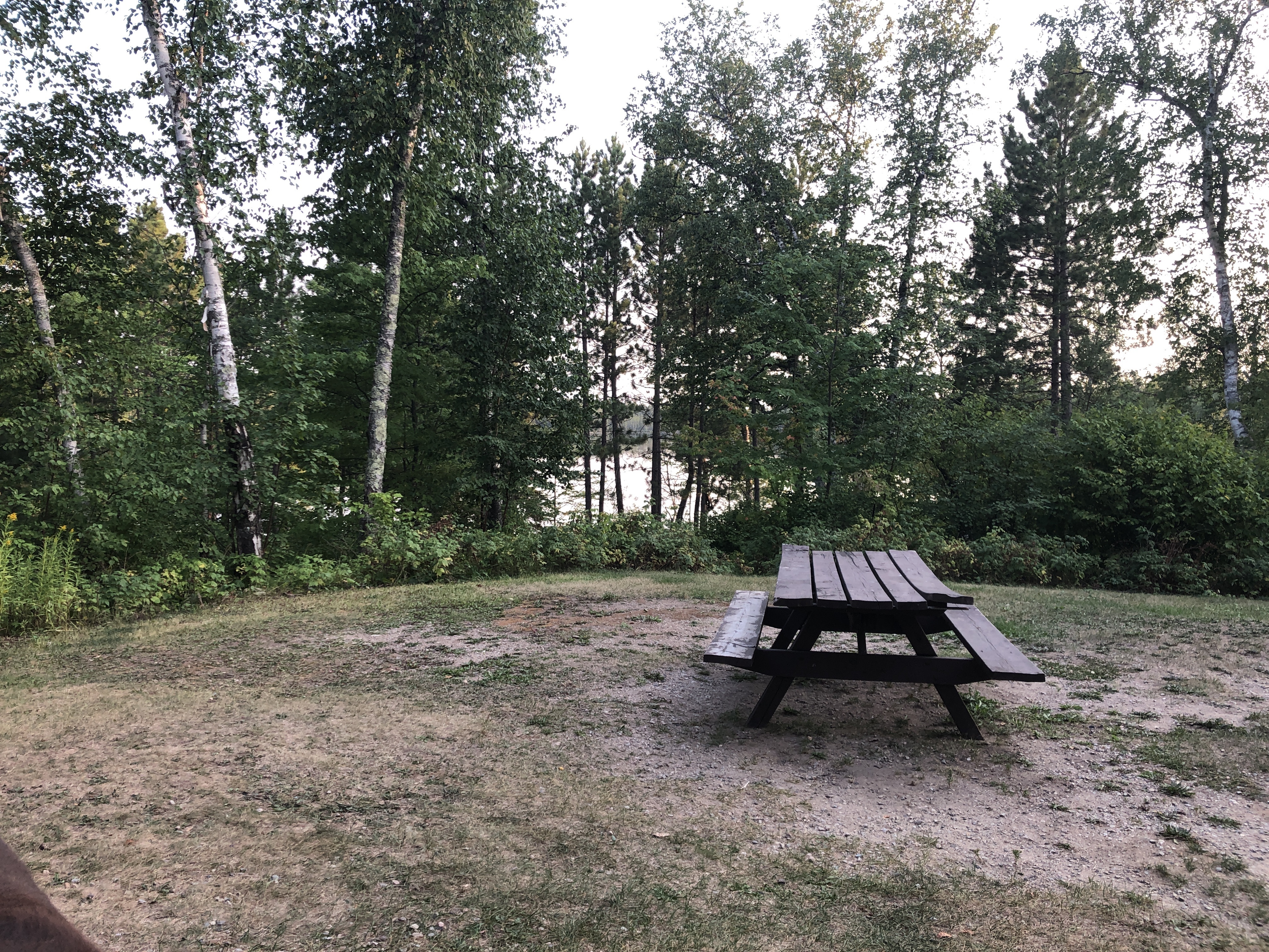 Pfeiffer Lake Campground Reviews