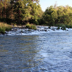 Pit River Campground Reviews - Campendium