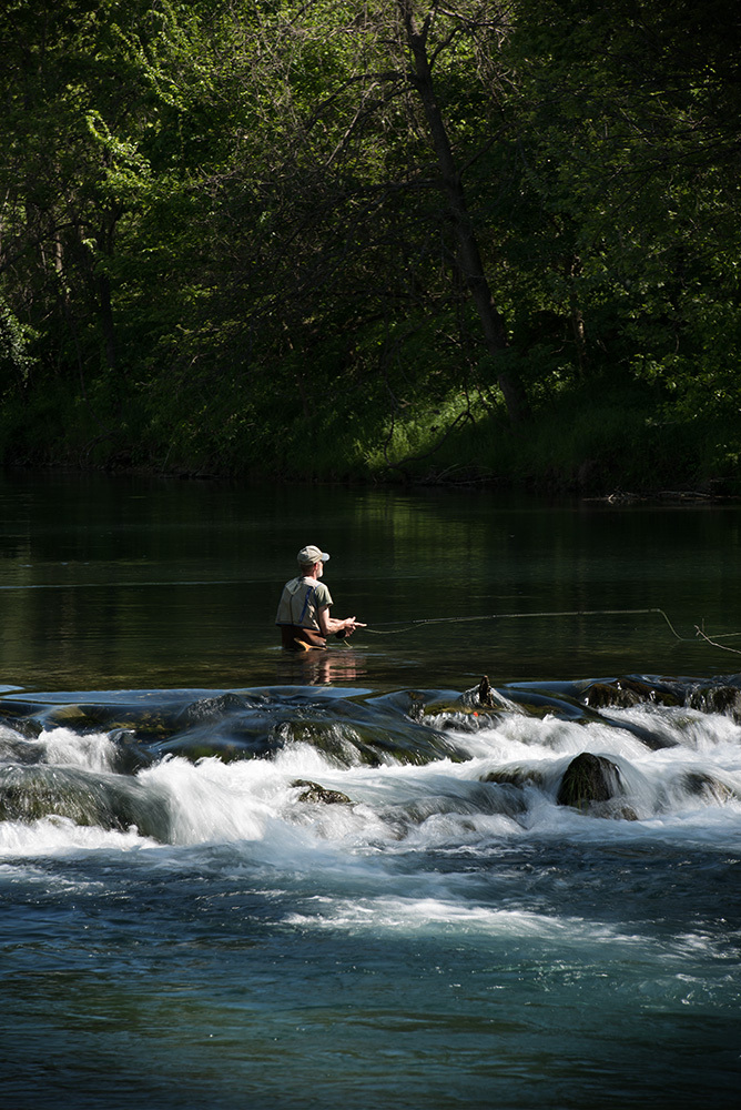 Bennett Spring State Park Reviews updated 2024