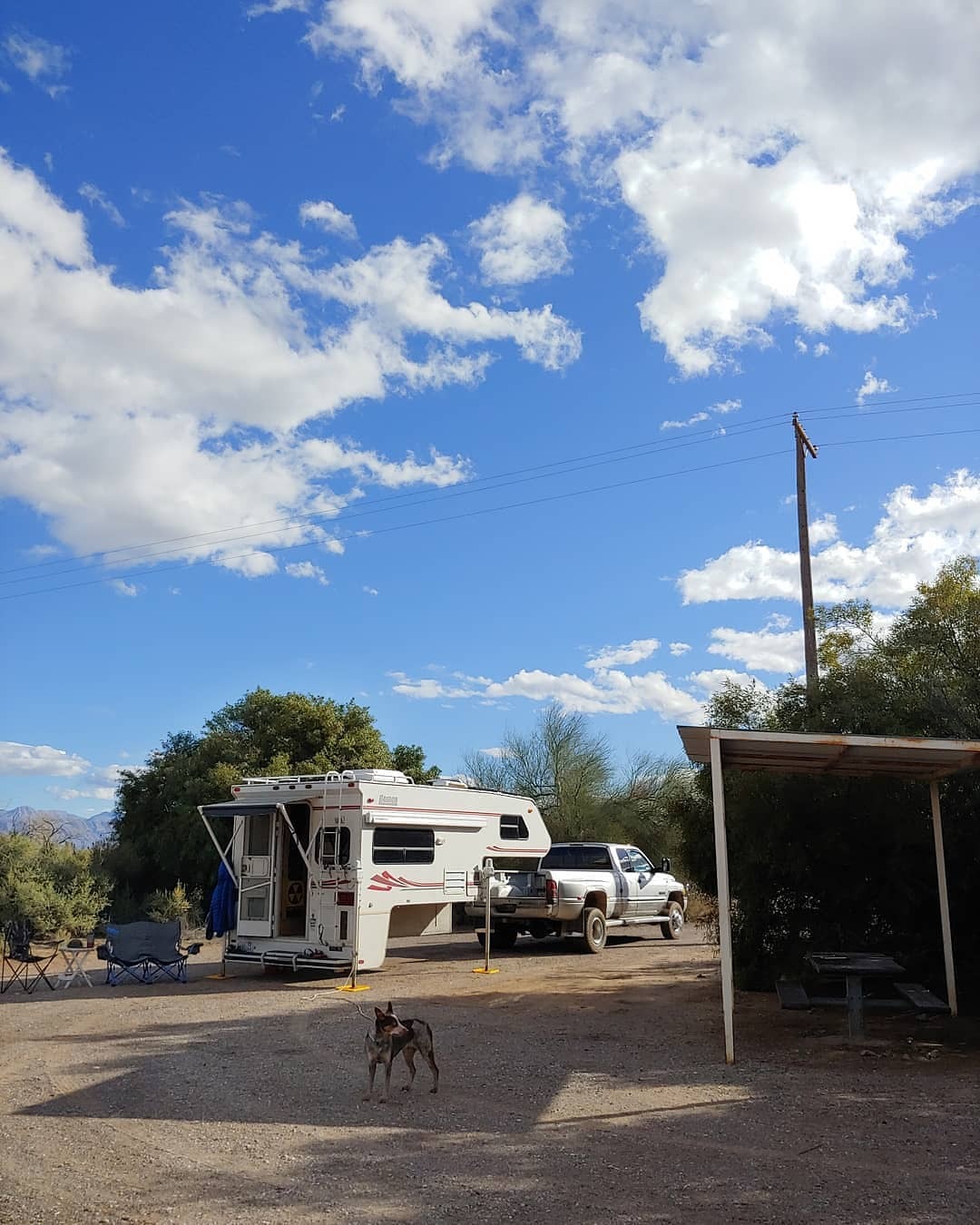 Overton Wildlife Management Area Reviews updated 2025