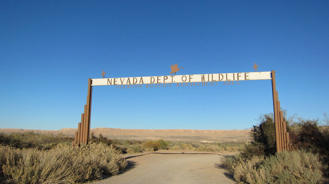 Overton Wildlife Management Area Reviews updated 2020