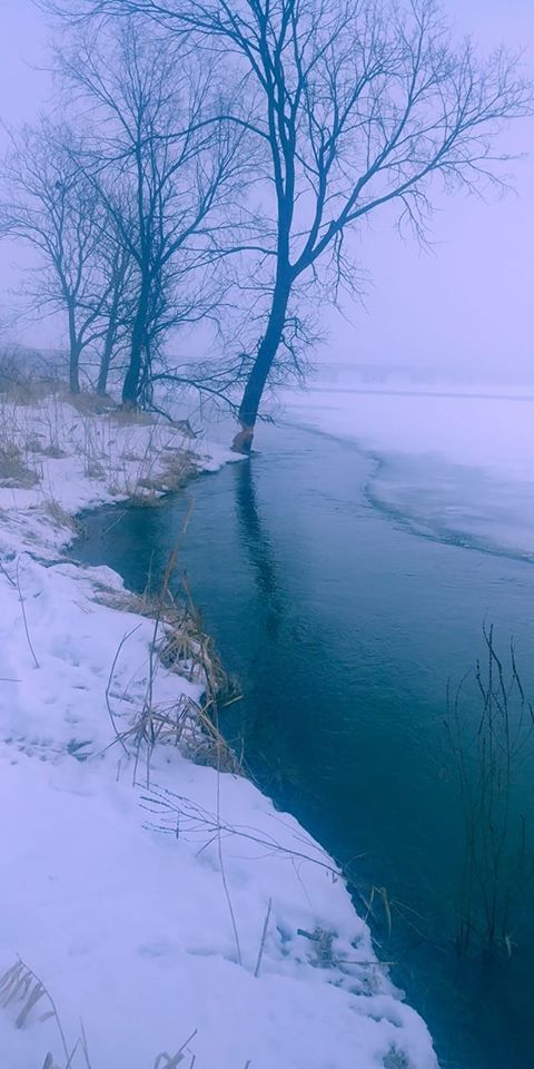 Bader Memorial Park Campground Reviews updated 2025