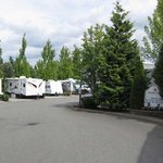 Maple Grove RV Resort Reviews - Campendium