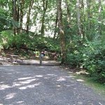 Flowing Lake County Park Reviews - Campendium