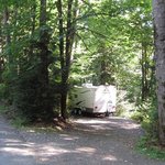 Flowing Lake County Park Reviews - Campendium