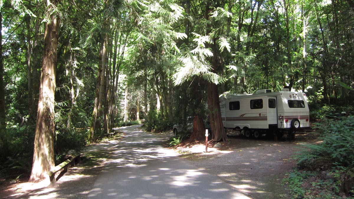 Kayak Point County Park Reviews updated 2025