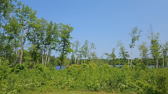 Birch Grove Campground Reviews updated 2025