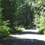 Douglas Fir Campground - Campendium