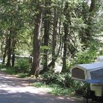 Douglas Fir Campground - Campendium