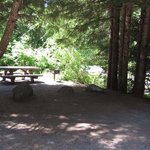 Silver Fir Campground Reviews - Campendium