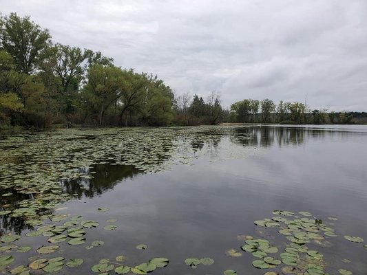 Mauthe Lake Campground Reviews updated 2020