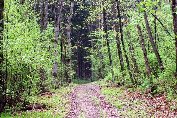 Ottawa Lake Campground Reviews updated 2022