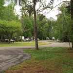 Gunter Hill Campground Reviews - Campendium