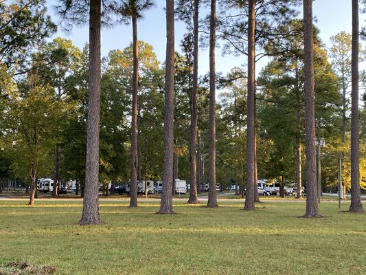 Lakepoint Resort State Park Reviews updated 2020