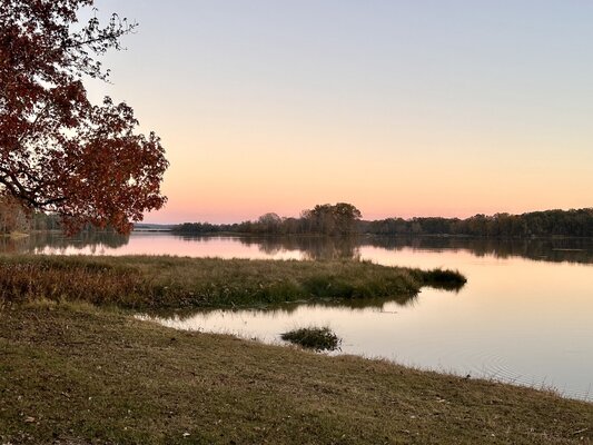 Lakepoint Resort State Park Reviews Updated 2025