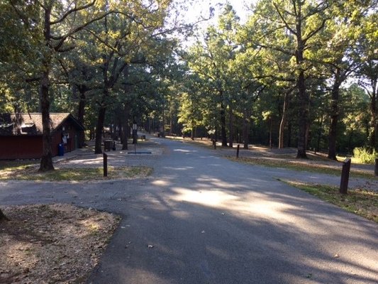 Crowley's Ridge State Park Reviews updated 2019