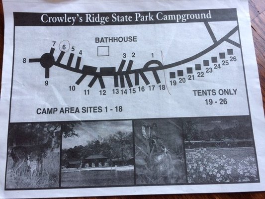Crowley's Ridge State Park Reviews updated 2020