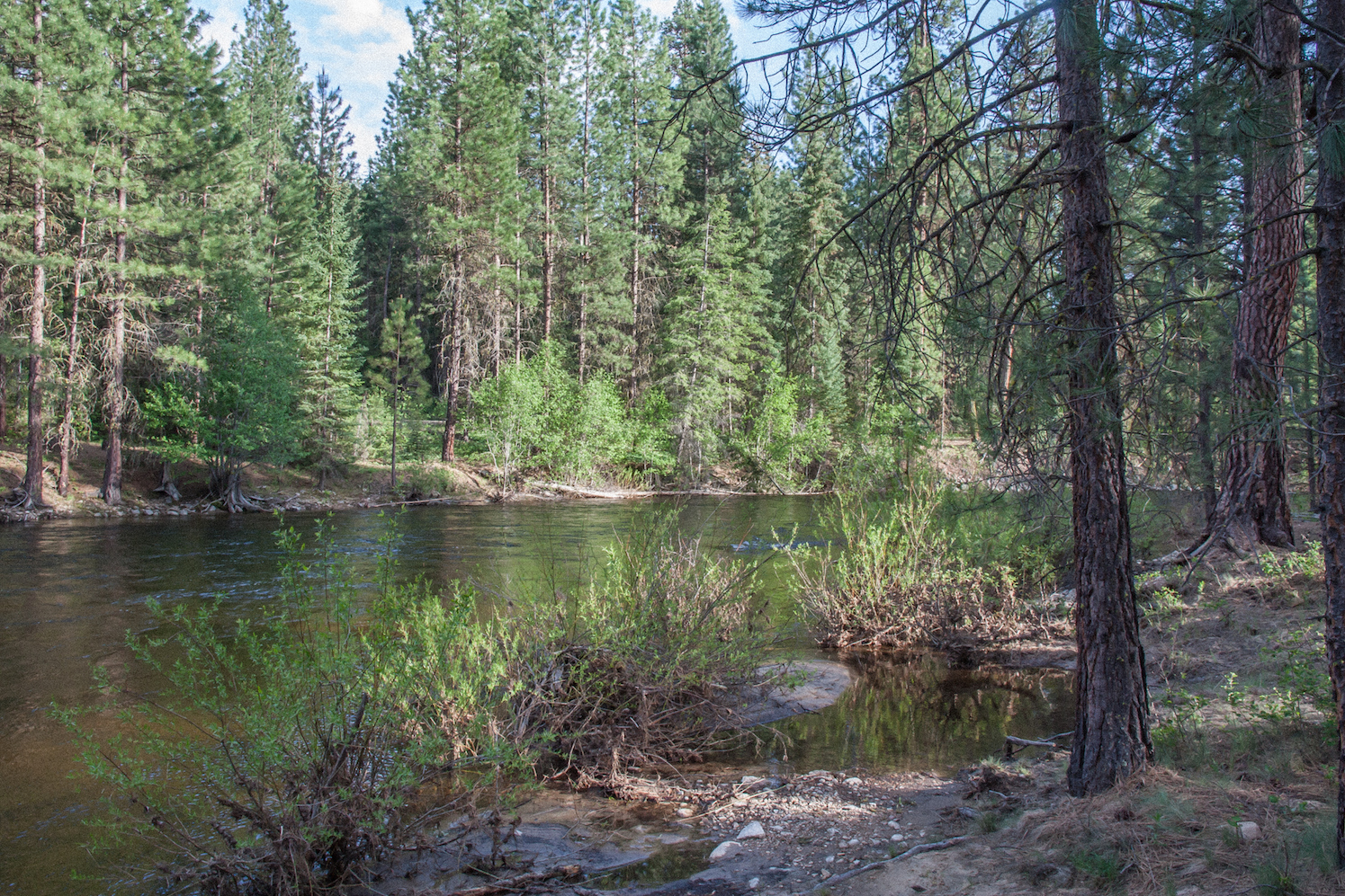 Falls Creek Campground Reviews updated 2025