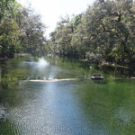 Blue Spring State Park Reviews - Campendium