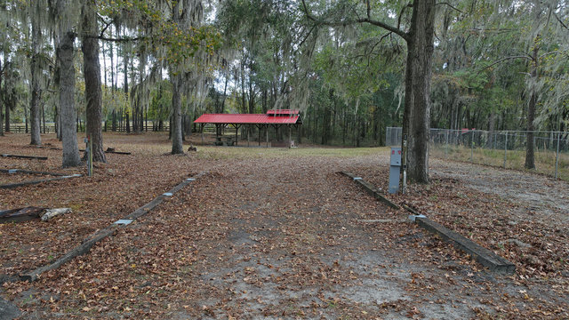 Gibson Park Campground Reviews updated 2025