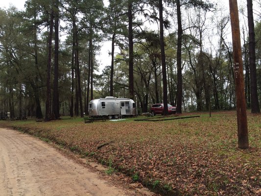 High Bluff Campground Reviews