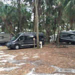 Manatee Hammock Campground Reviews - Campendium