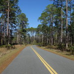 Ocean Pond Campground Reviews - Campendium