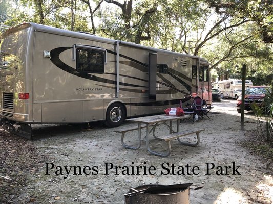 Paynes Prairie Preserve State Park Campground Reviews updated 2025