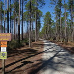 Sand Pond Recreation Area Reviews - Campendium