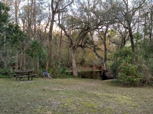 River Junction Campground Reviews updated 2025