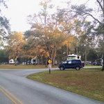 Salt Springs Recreation Area Reviews - Campendium