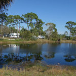 Wickham Park Campground Reviews - Campendium