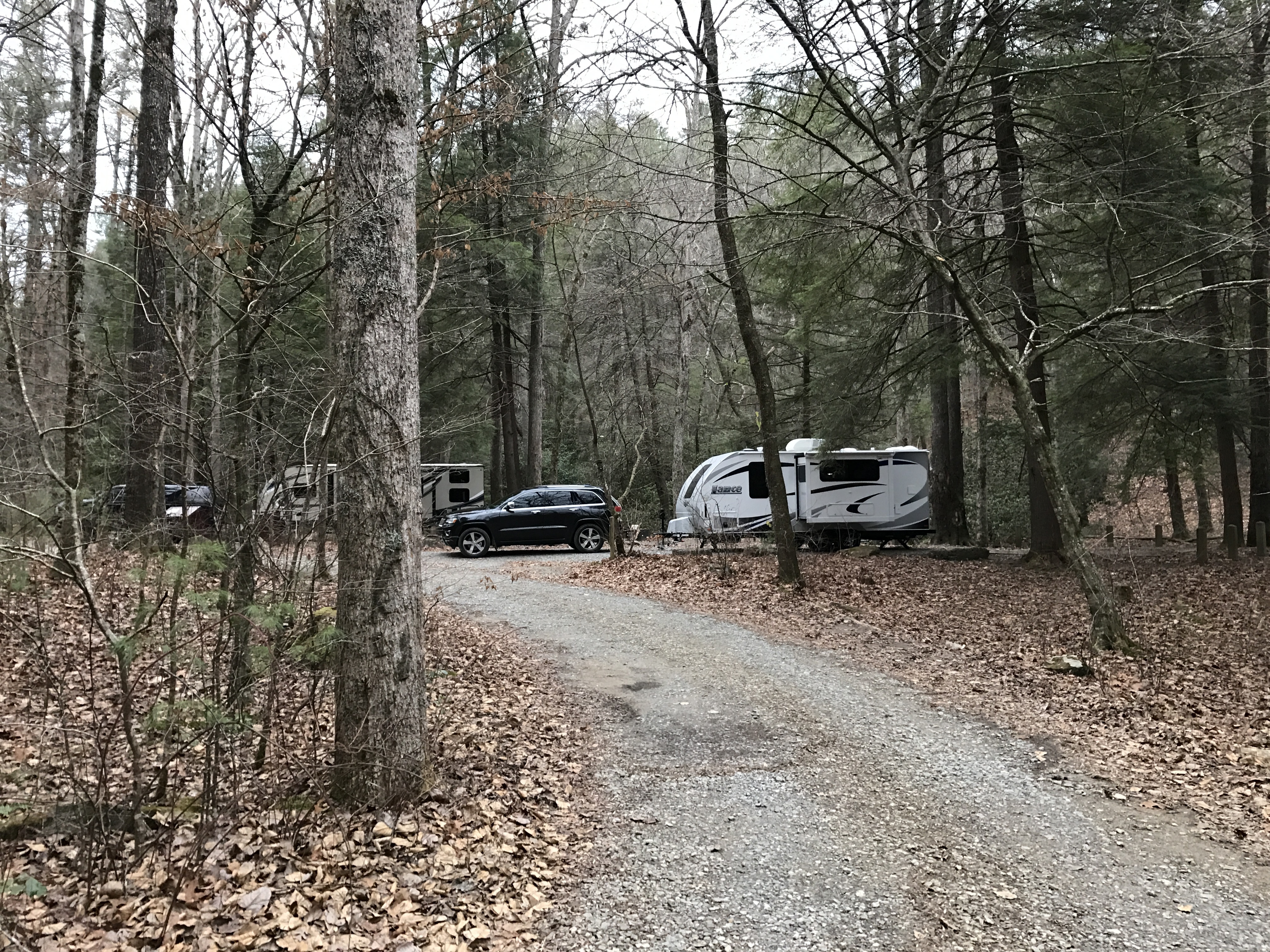 Cooper Creek Campground Reviews updated 2026