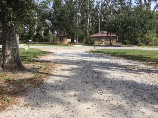 River Junction Campground Reviews updated 2026