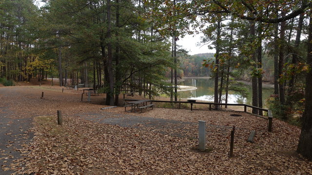 Upper Stamp Creek Campground Reviews updated 2022