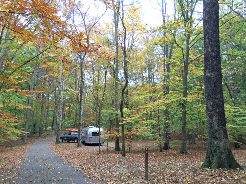 Mammoth Cave Campground Reviews updated 2022