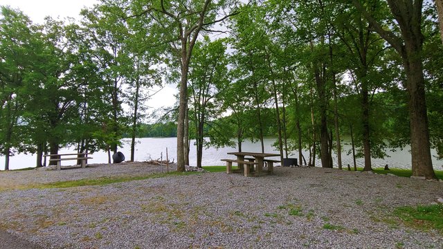 Taylor Bay Campground Reviews updated 2025