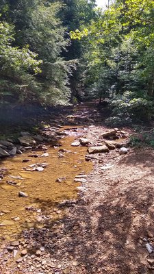 Turkey Foot Campground Reviews updated 2020