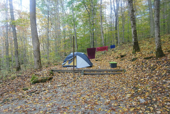 Turkey Foot Campground Reviews updated 2026