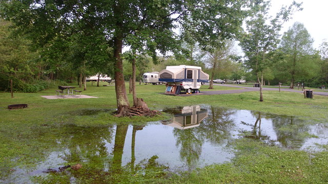 Bayou Segnette State Park Reviews updated 2022