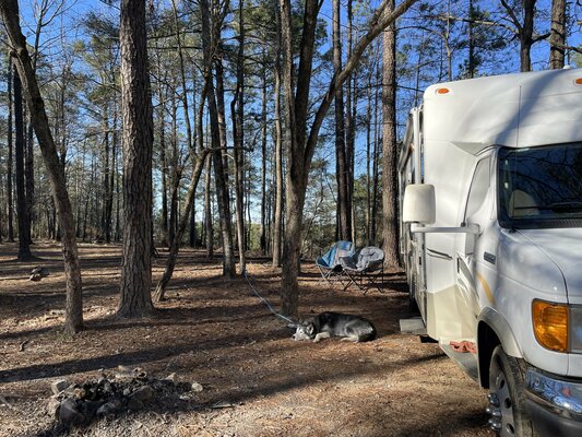 Coyote Camp Reviews updated 2025