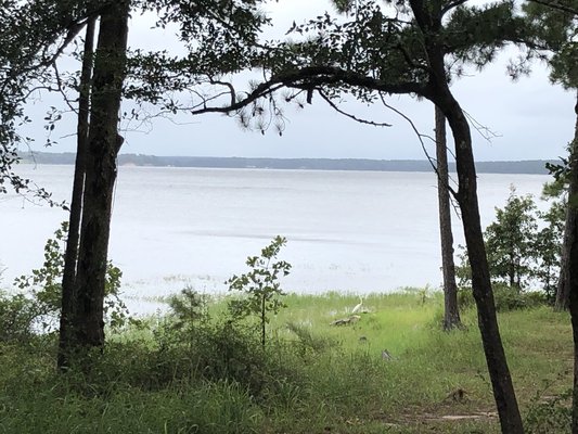 South Toledo Bend State Park Reviews updated 2019