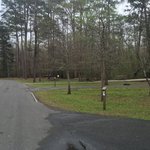 Tickfaw State Park Reviews - Campendium