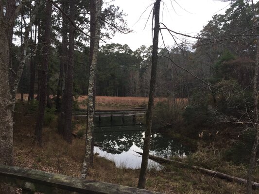 Clear Springs Recreation Area Reviews updated 2020